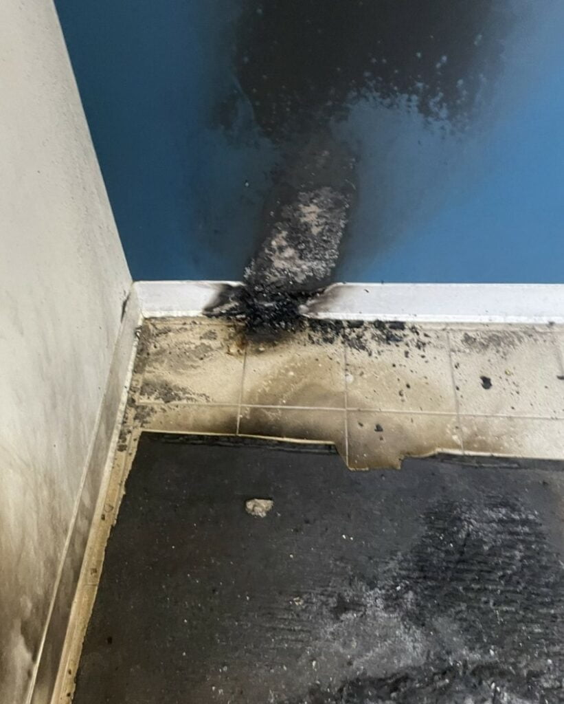 Even during a Pause of War in Gaza, Canada’s Antisemites still Run ...